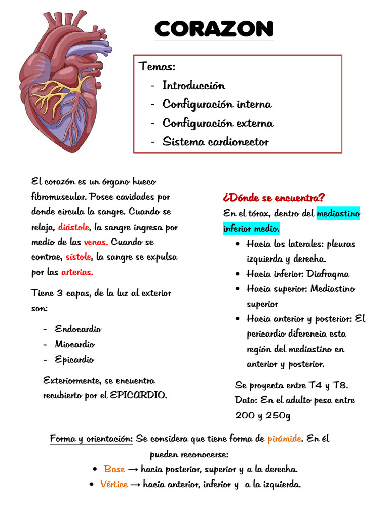 corazon | PDF