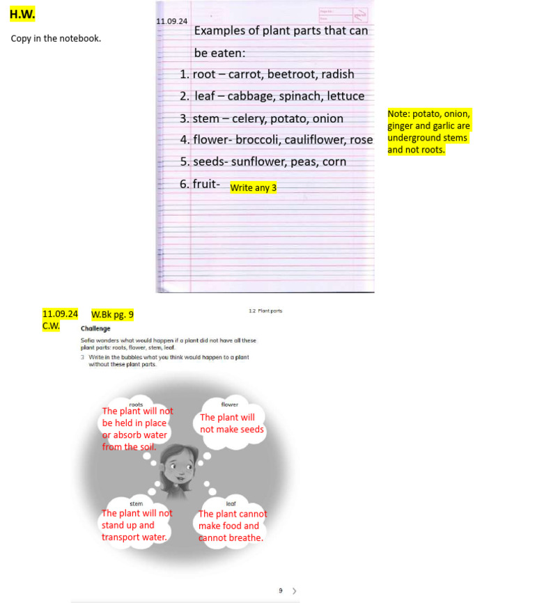 Unit 1 - CW and HW - 11.09.24 | PDF