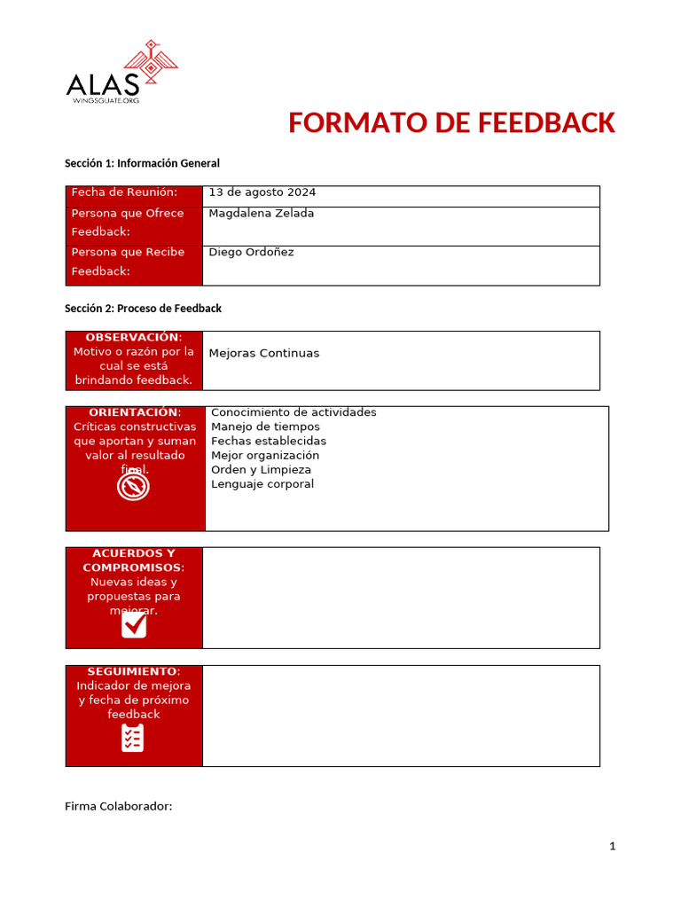 Formato Para Brindar Feedback y Establecer Compromisos | PDF