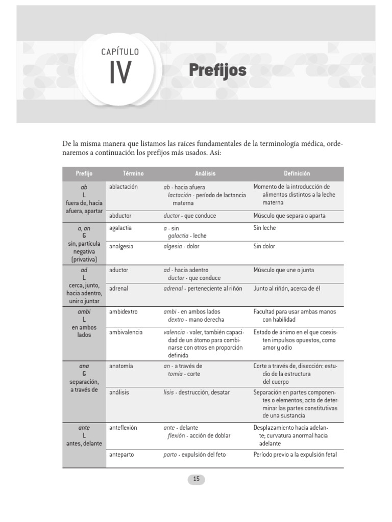 PREFIJOS | PDF
