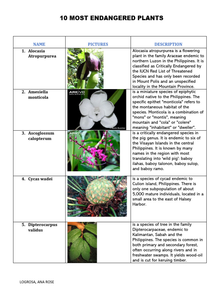PEE Endagered Plants | PDF