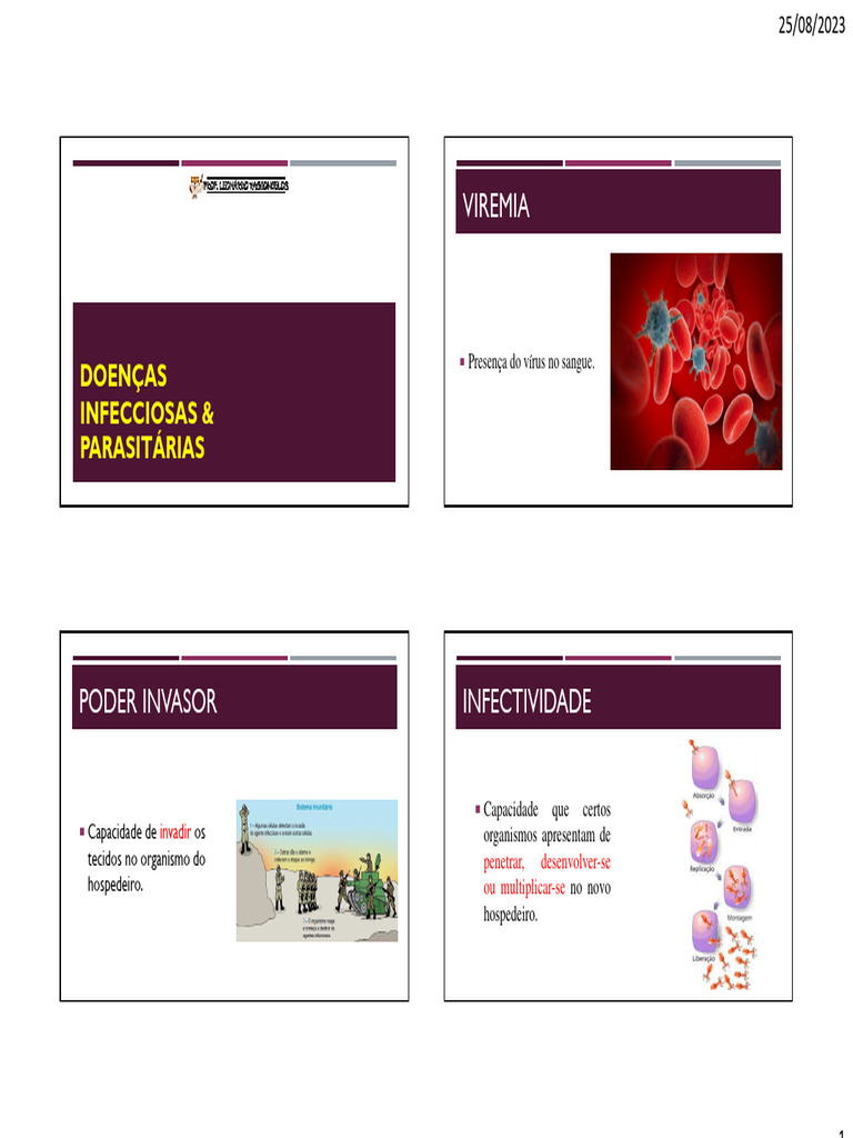 Aula de DIP - Preparatório | PDF