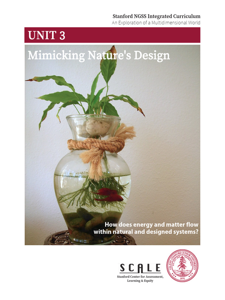 7th Grade - Unit 3 Teacher Version | PDF