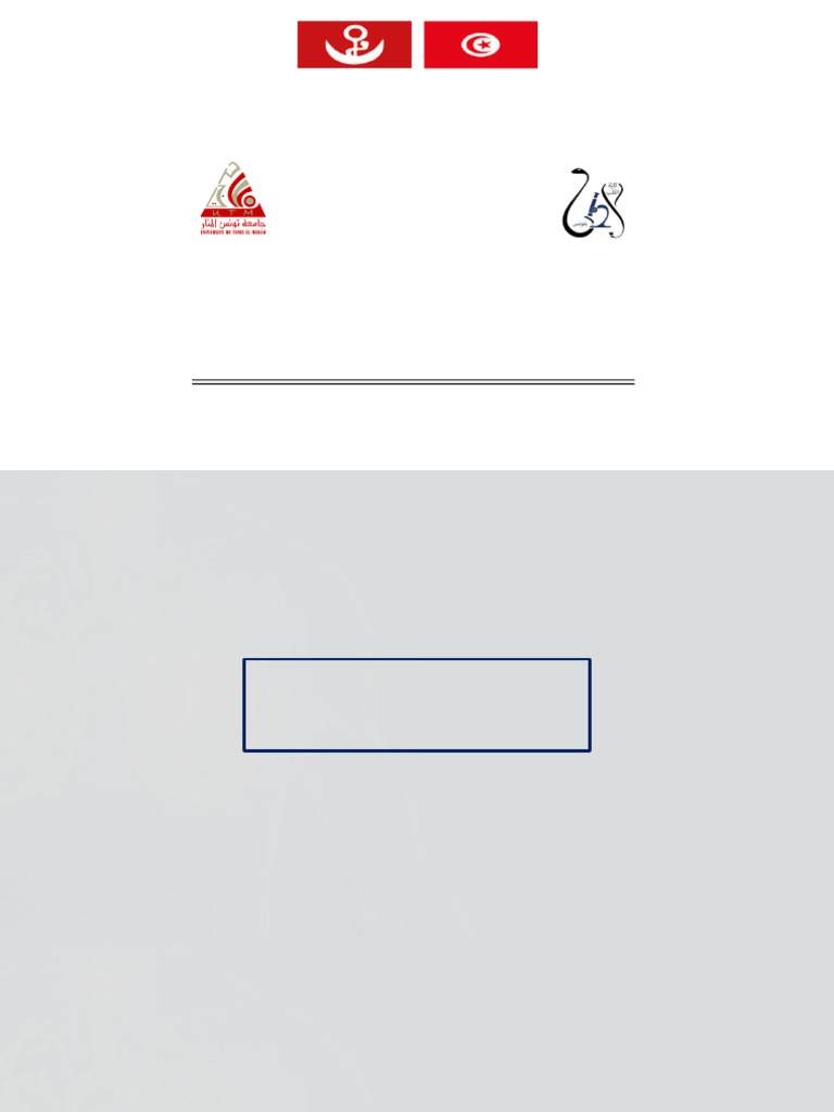 Présentation CV Hend | PDF