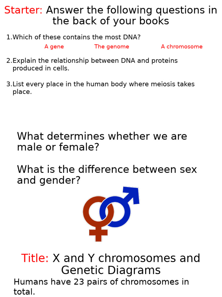 L4 - X - Y and Genetic Diagrams | PDF