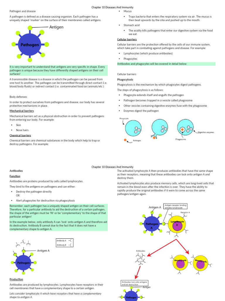 Chapter 10 Diseases and Immunity | PDF | Immune System | Science ...