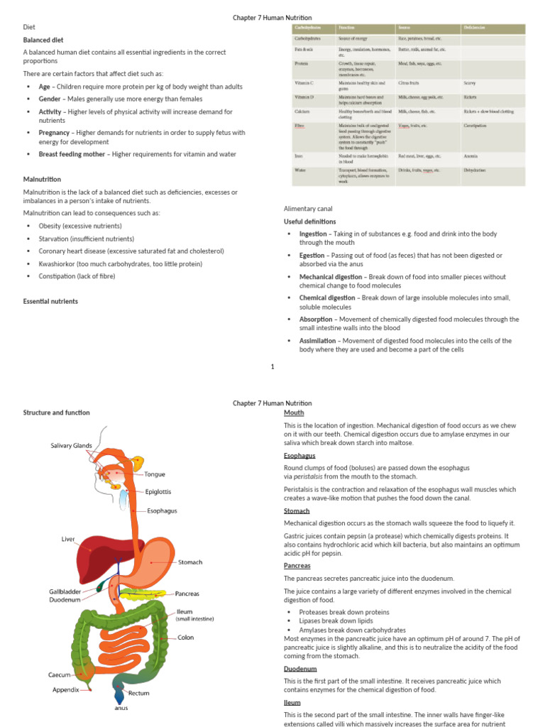 Chapter 7 Human Nutrition | PDF