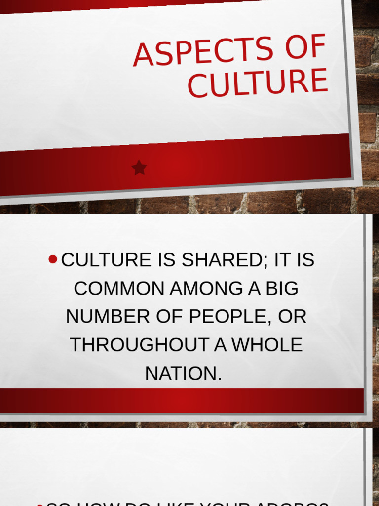 Aspects of Culture 2 | PDF