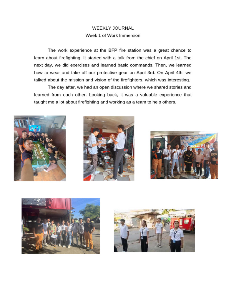 Piloton Weekly Journal | PDF