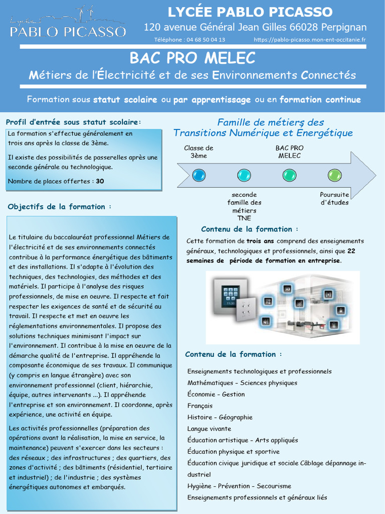 Bac Pro MELEC | PDF