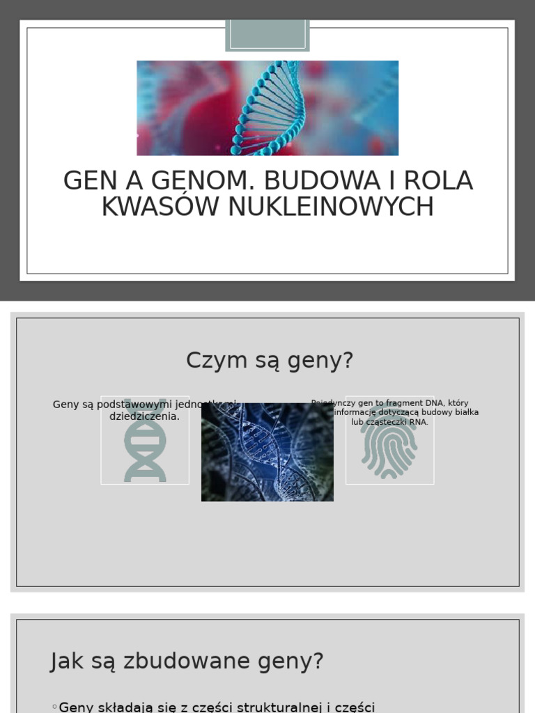 GEN, A GENOM. Budowa I Funkcje Kwasów Nukleinowych. | PDF