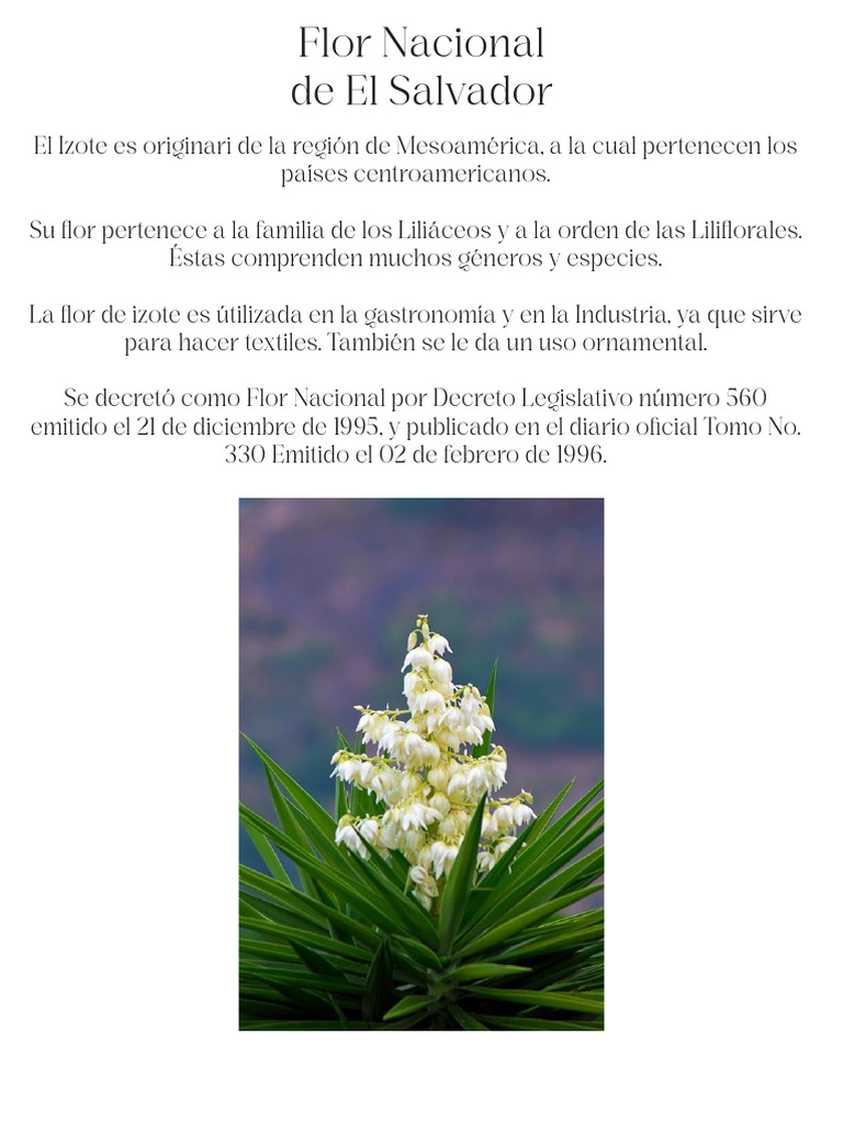 Flor Nacional de El Salvador | PDF