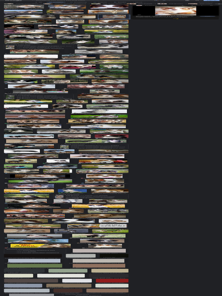 Pictures of Mini Ozzy's (Red Blue Eyes) - Google Search | PDF