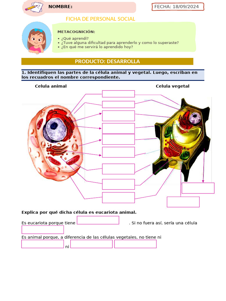 FICHA MIERC 18_09 CYT Clasificació de los seres vivos | PDF