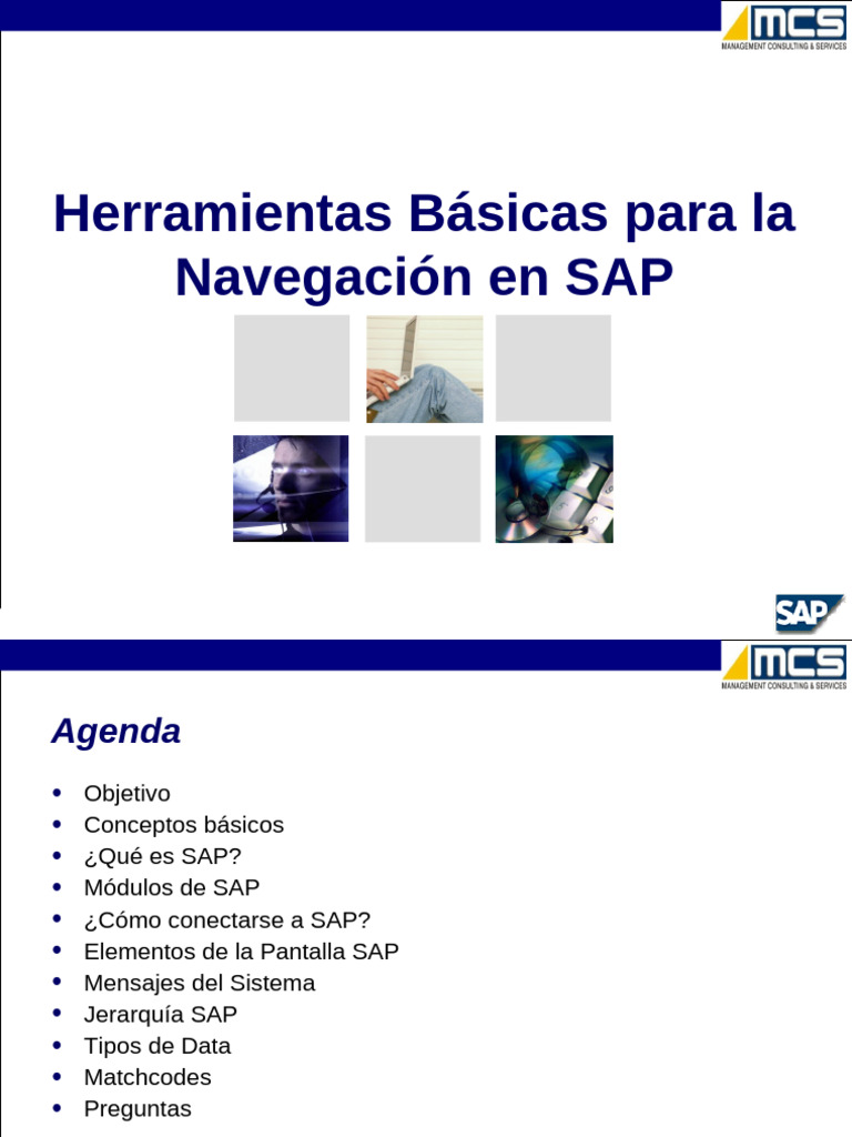 Sap 20 | PDF