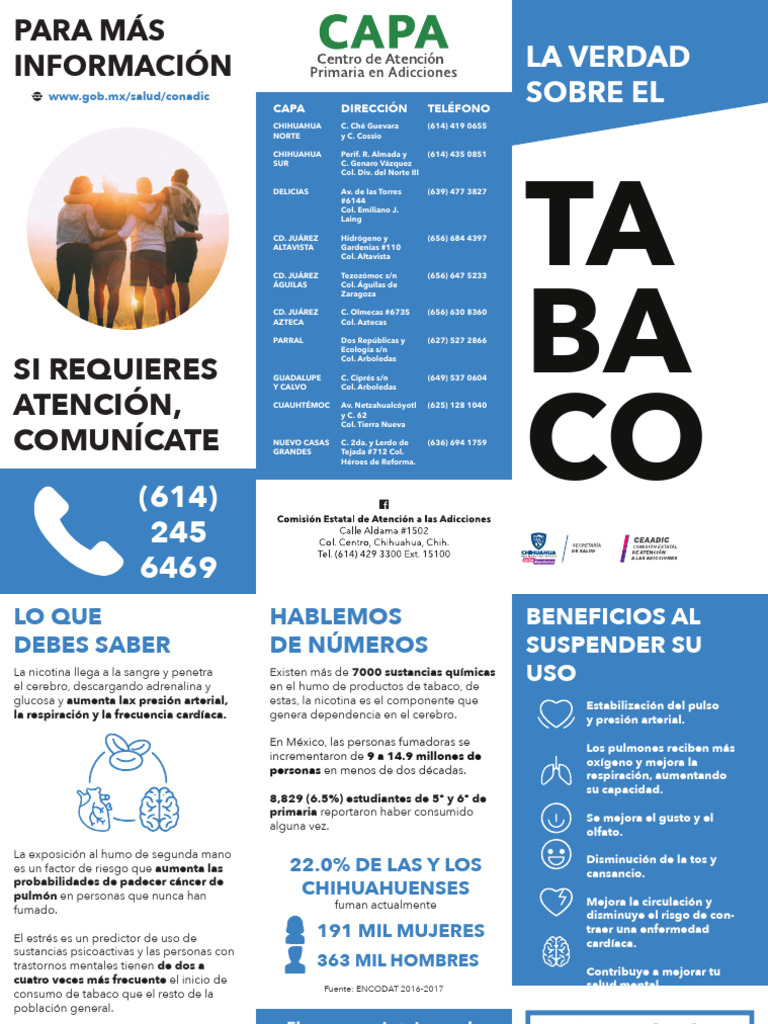 Triptico Tabaco | PDF