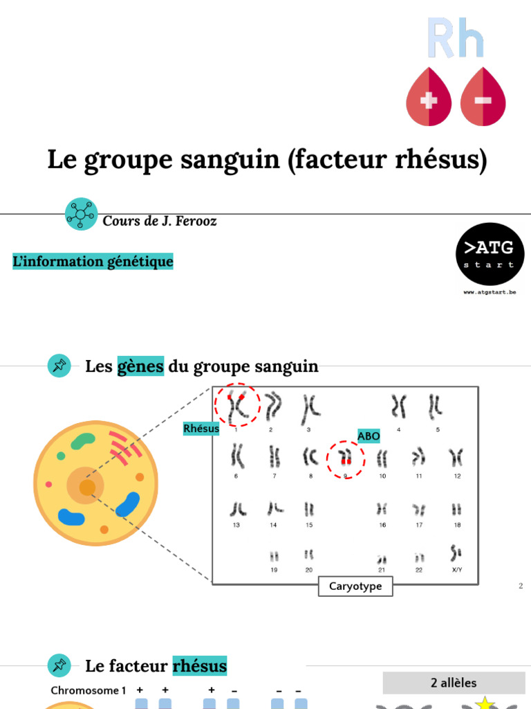 UAA13 Le Groupe Sanguin (Facteur Rhésus) | PDF