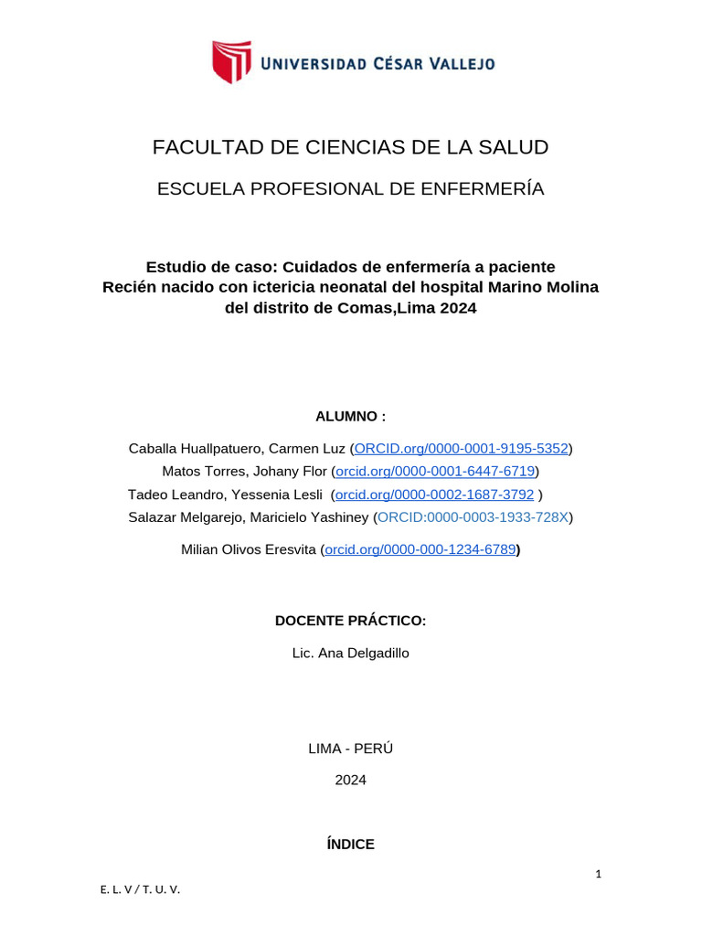 Modelo Pae - Nilda - Grupo 2 | PDF