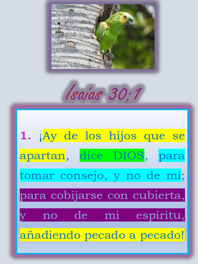 Isaias 30 | PDF