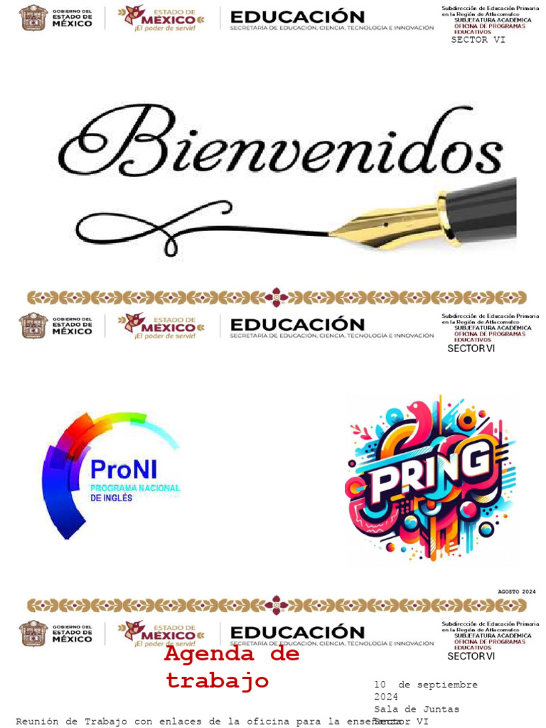 PRONI-PRING Presentación Sector VI | PDF