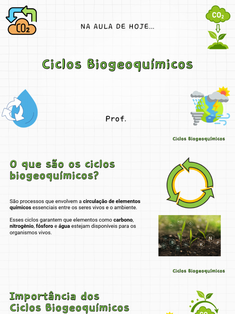 Ciclos Biogeoquímicos | PDF