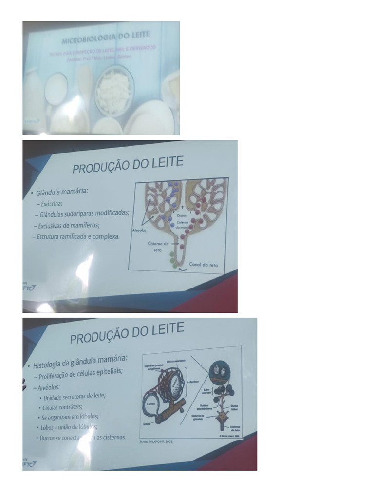 Microbiologia Do Leite | PDF