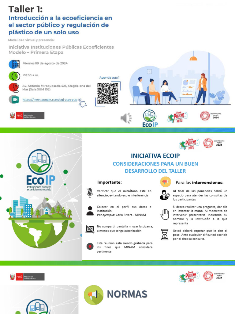 1er Taller Eco Ippp | PDF