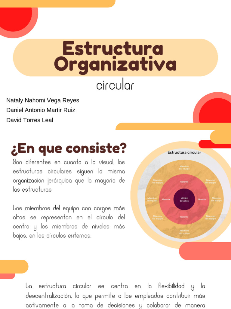 Estructura Organizativa Circular | PDF