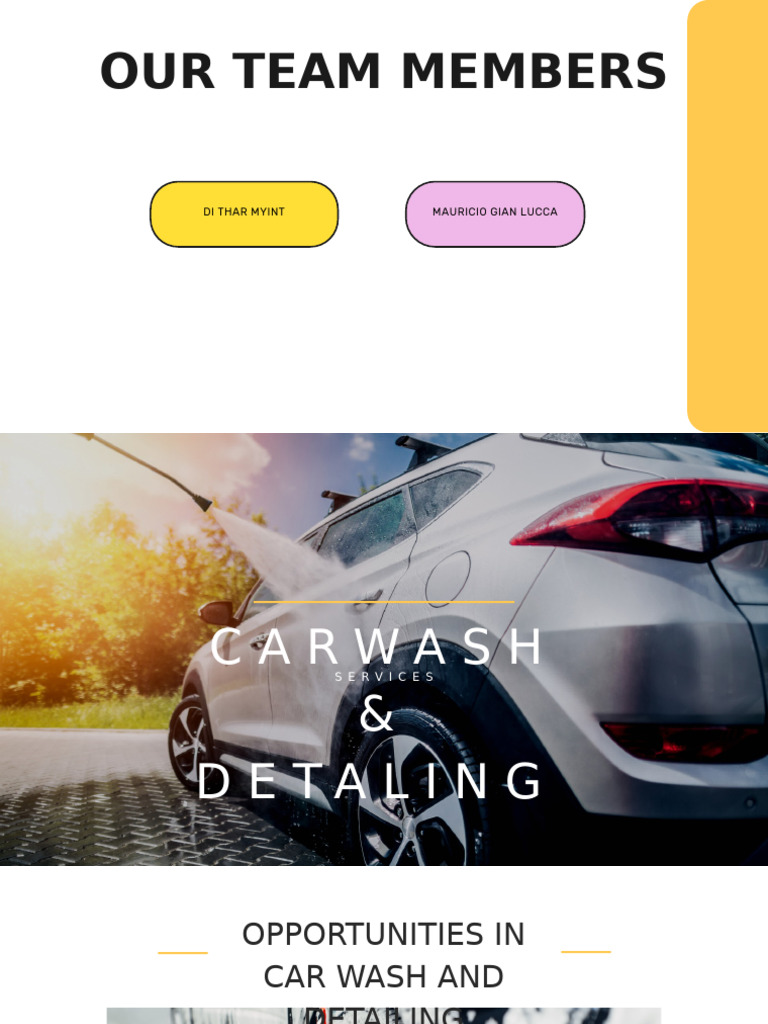 Car Wash and Auto Detailing | PDF