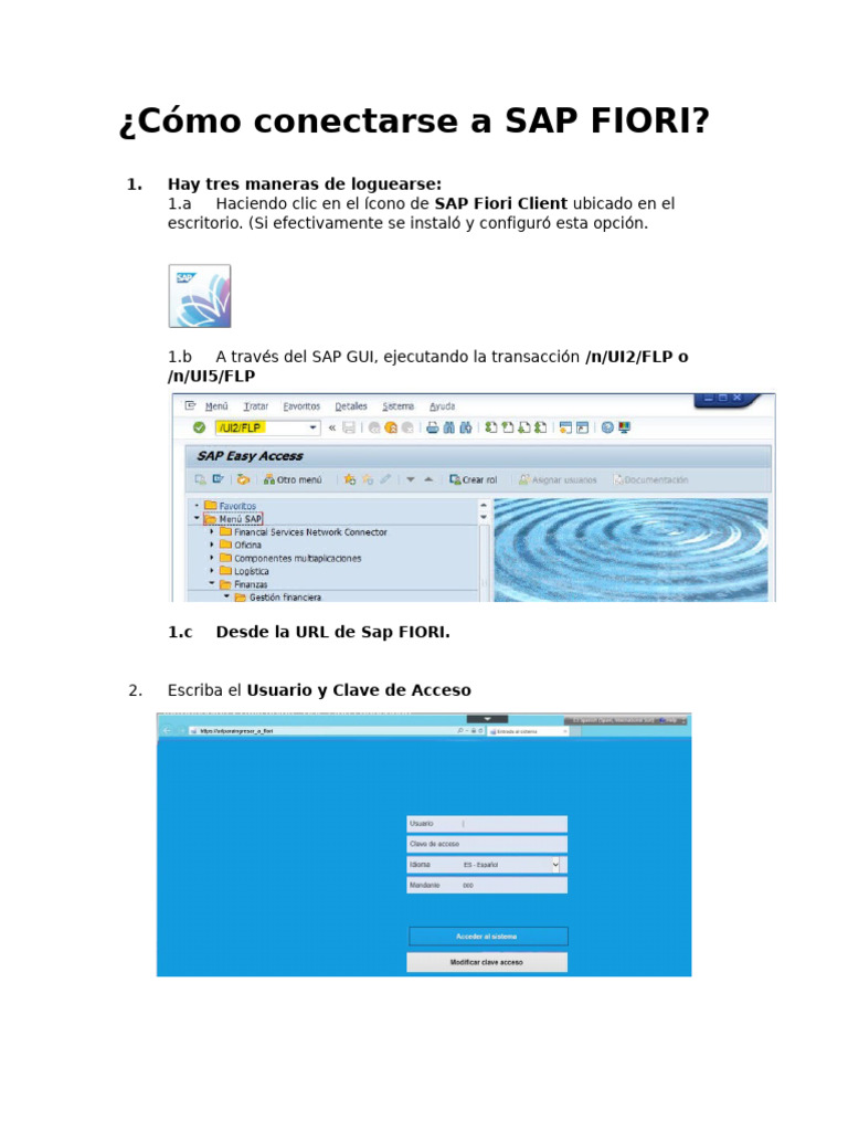 Paso a Paso M1L2 Conexión a Sap FIORI | PDF