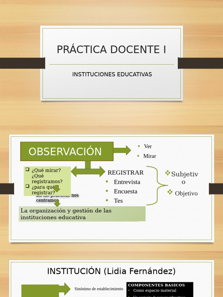 Geo. Práctica Docente I. Institución. - 120341 | PDF