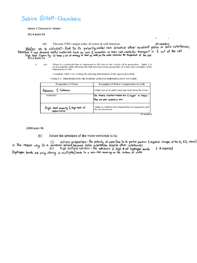 Water | PDF