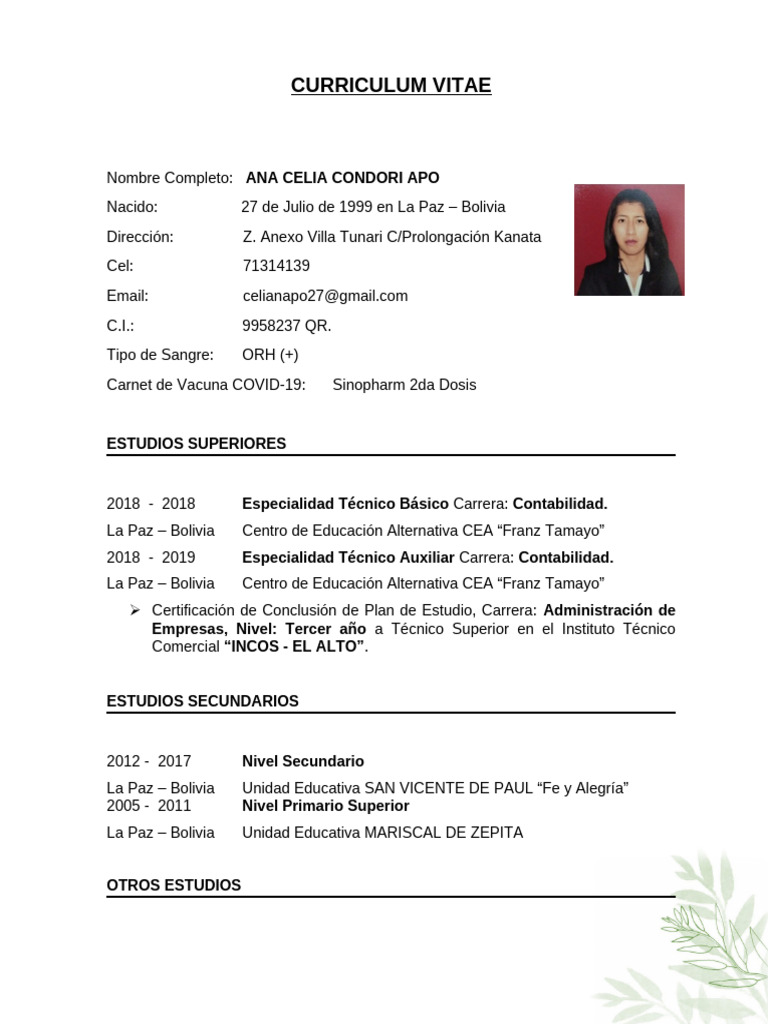 ANA CELIA CURRICULUM 3 MODIFICADO -2024 (1) | PDF