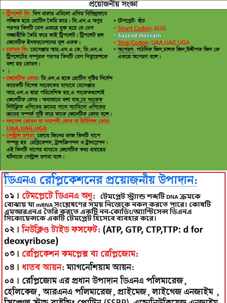 Dna Rna PPT Slide Made by Own | PDF