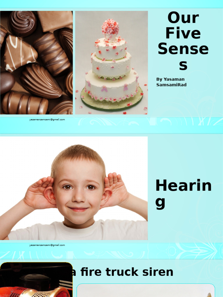 Our five senses | PDF