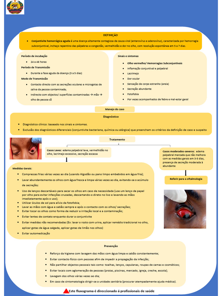 V6 Fluxograma de Manejo de Conjuntivite Hemorrágica Viral 26.03.24 ...