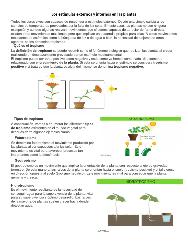 Tipos y Ejemplos de Tropismos en Plantas | PDF | Botánica | Ciencia y ...