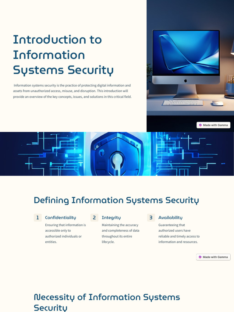 Introduction To Information Systems Security 1 | PDF