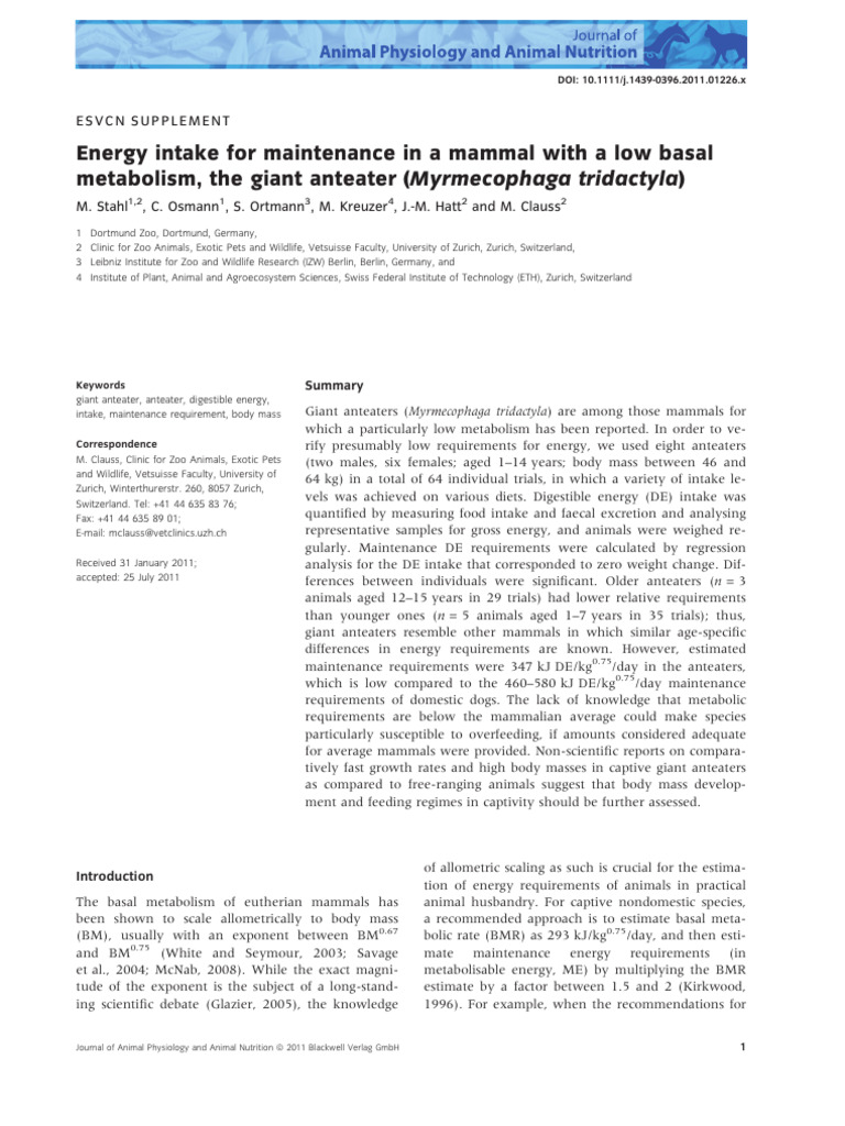 Energy Intake For Maintenance in A Mammal With A Low Basal Metabolism, The Giant Anteater | PDF