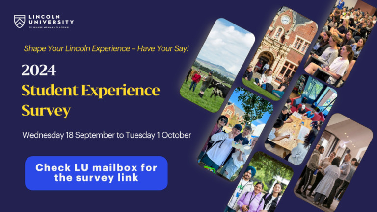 2024 LU Student Experience Survey | PDF