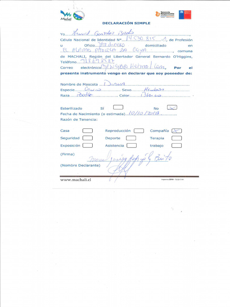 Declaracion Simple | PDF