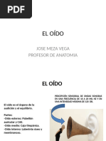 Otoscopia Normal | PDF | Oído | Anatomía