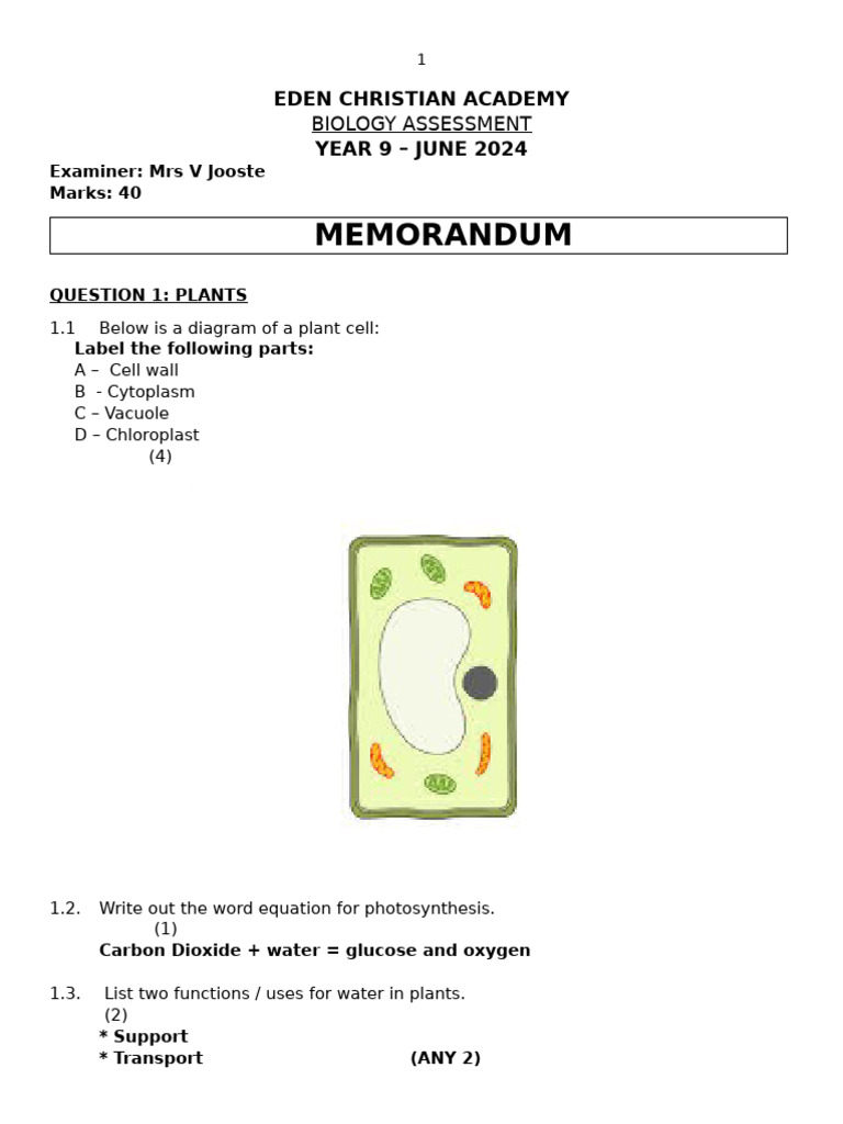 Yr 9 Biology Exam June 2024 Memo | PDF | Plants | Food Web