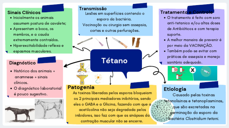 Tétano (Mapa)-1 | PDF