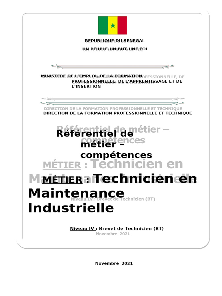 Canevas Référentiel Métier - Compétences Copie | PDF