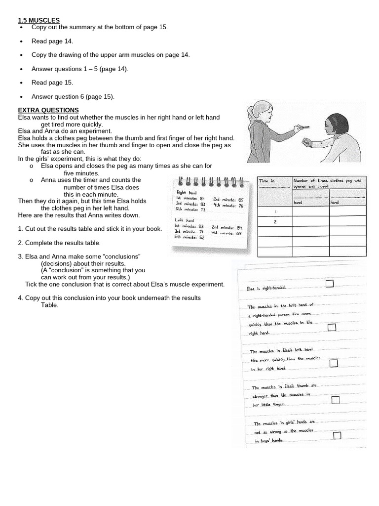 1.5 Muscles | PDF | Language Arts & Discipline