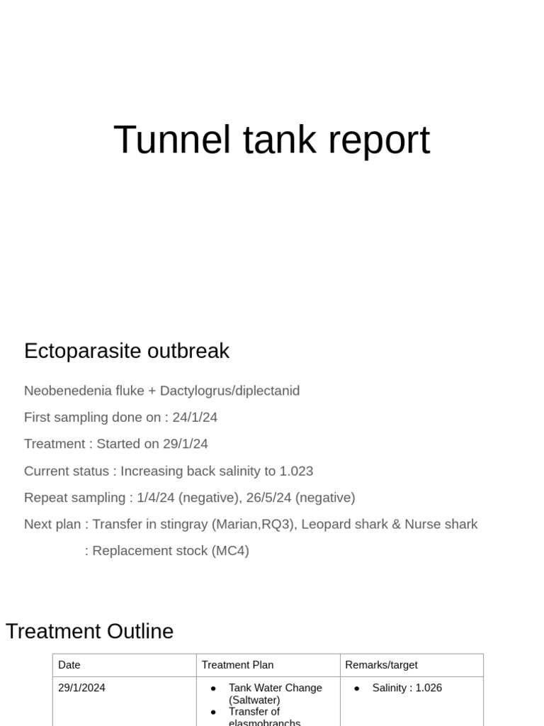 Tunnel Tank Report | PDF