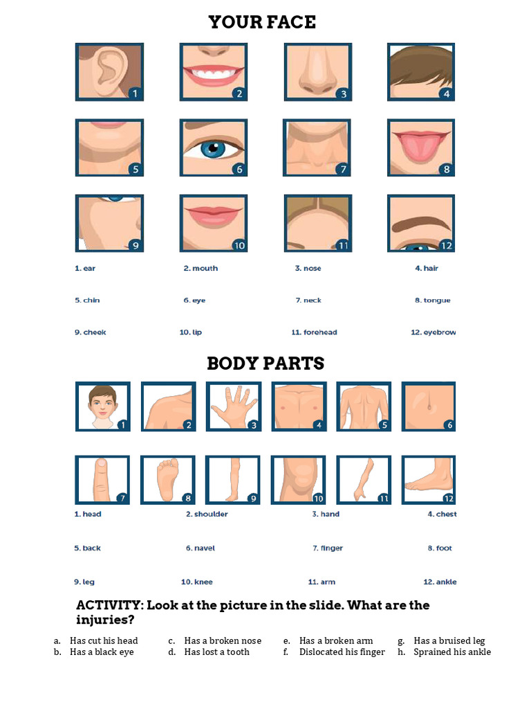 Body Parts - Injuries_025219 | PDF
