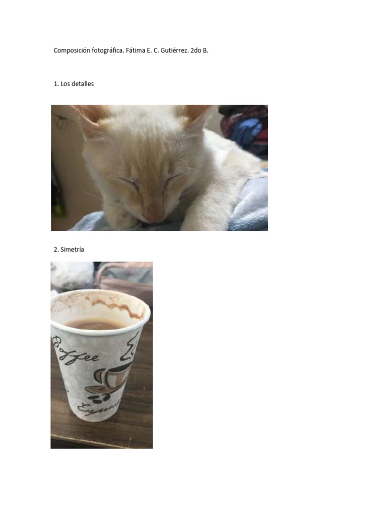 Composición fotográfica.docx | PDF