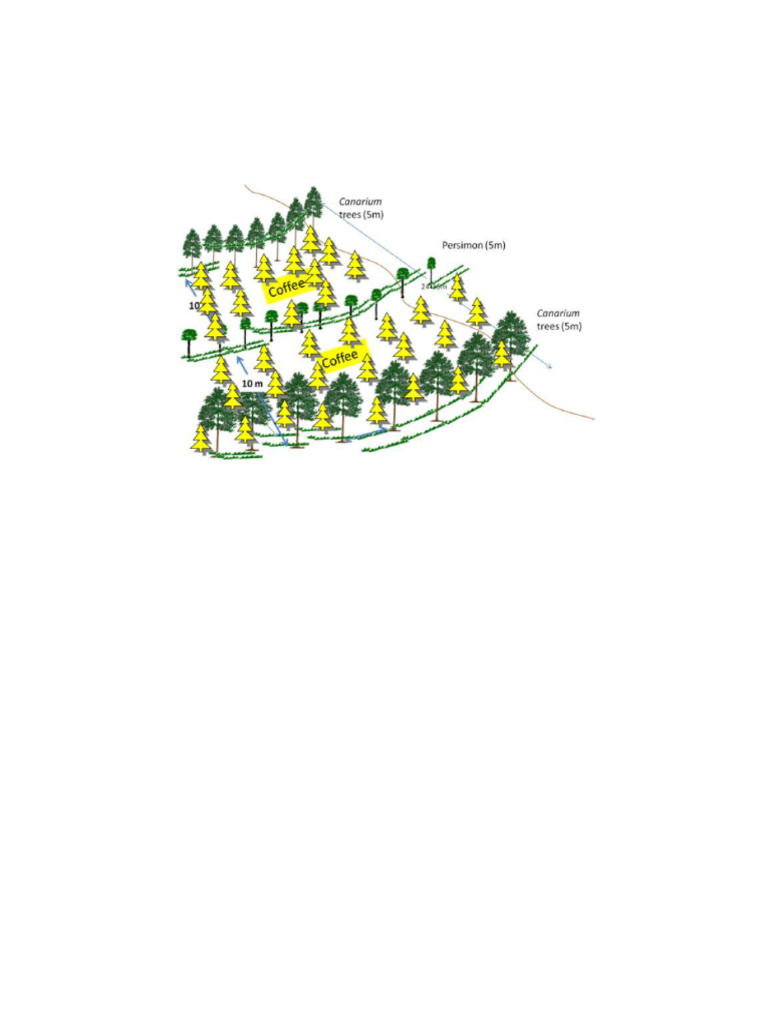 Module 2 Agroforestry System Design and Management (1) | PDF